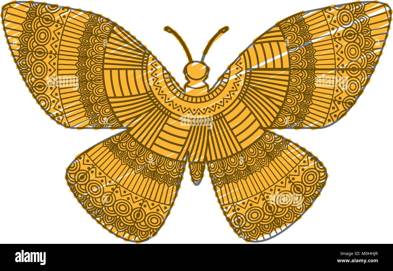 hand drawn for adult coloring pages with butterfly zentangle Stock ...