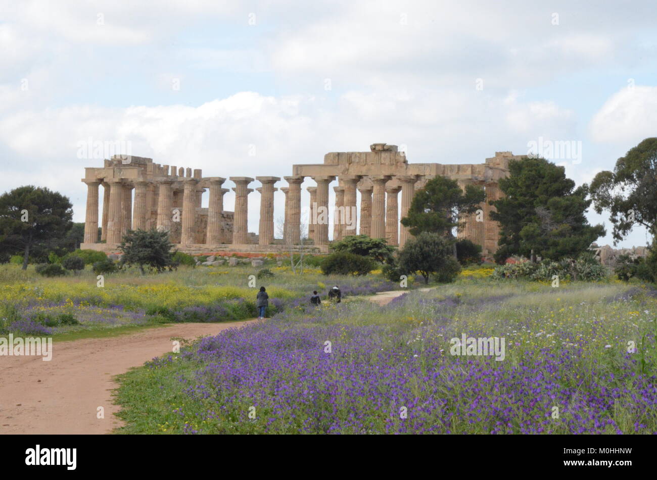 Archaeological area of Selinunte in Sicily Stock Photo - Alamy