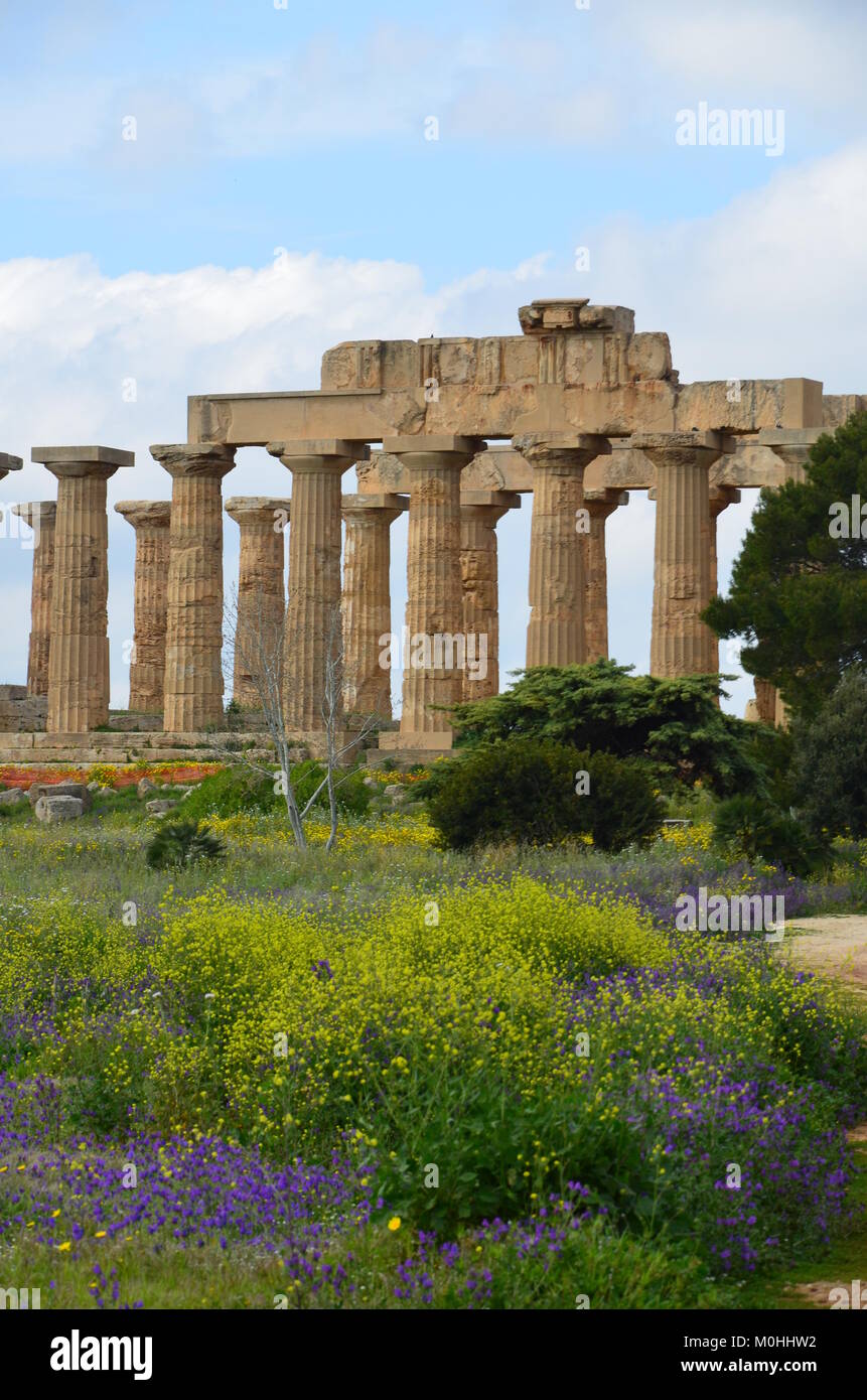 Archaeological area of Selinunte in Sicily Stock Photo - Alamy