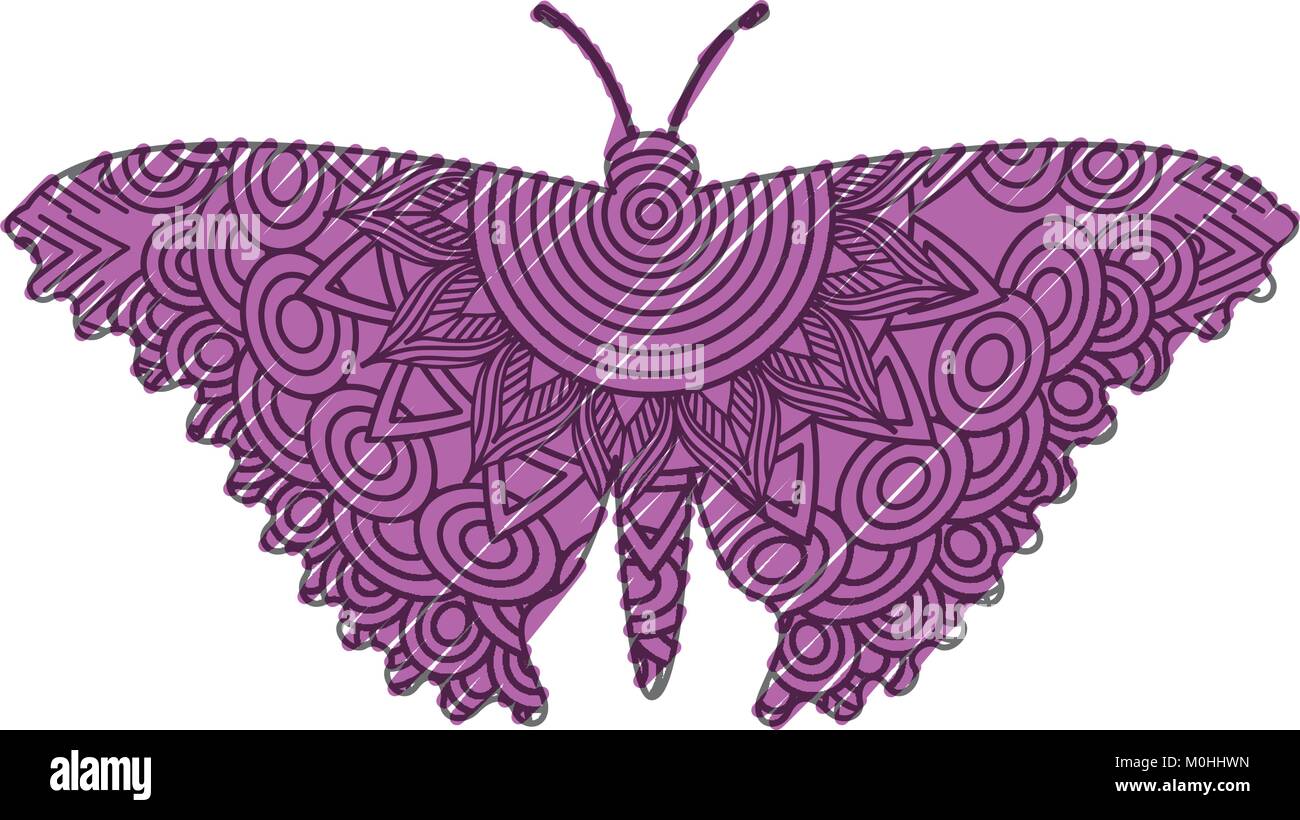 hand drawn for adult coloring pages with moth bug zentangle Stock ...