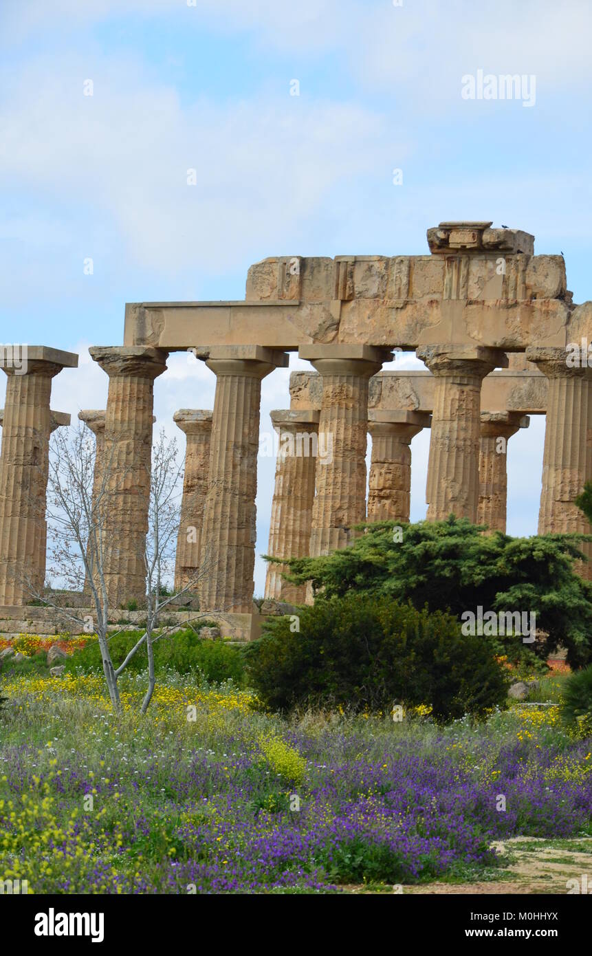Archaeological area of Selinunte in Sicily Stock Photo - Alamy