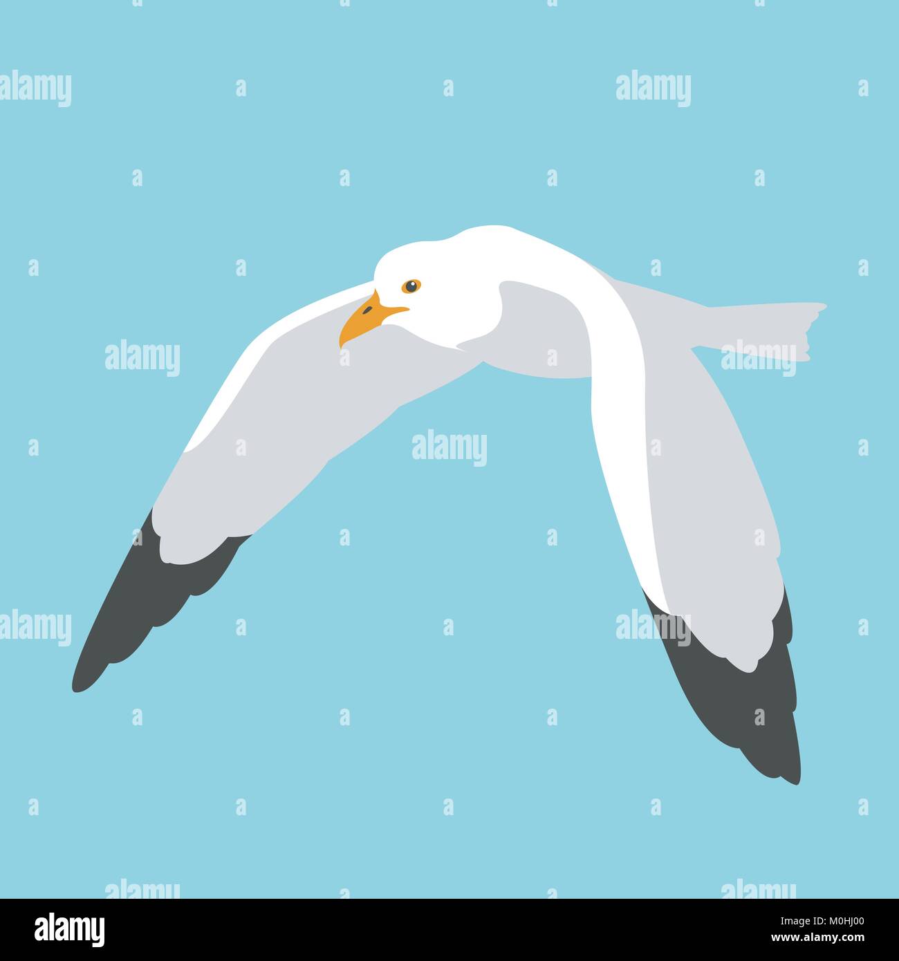 Diving seabird Stock Vector Images - Alamy