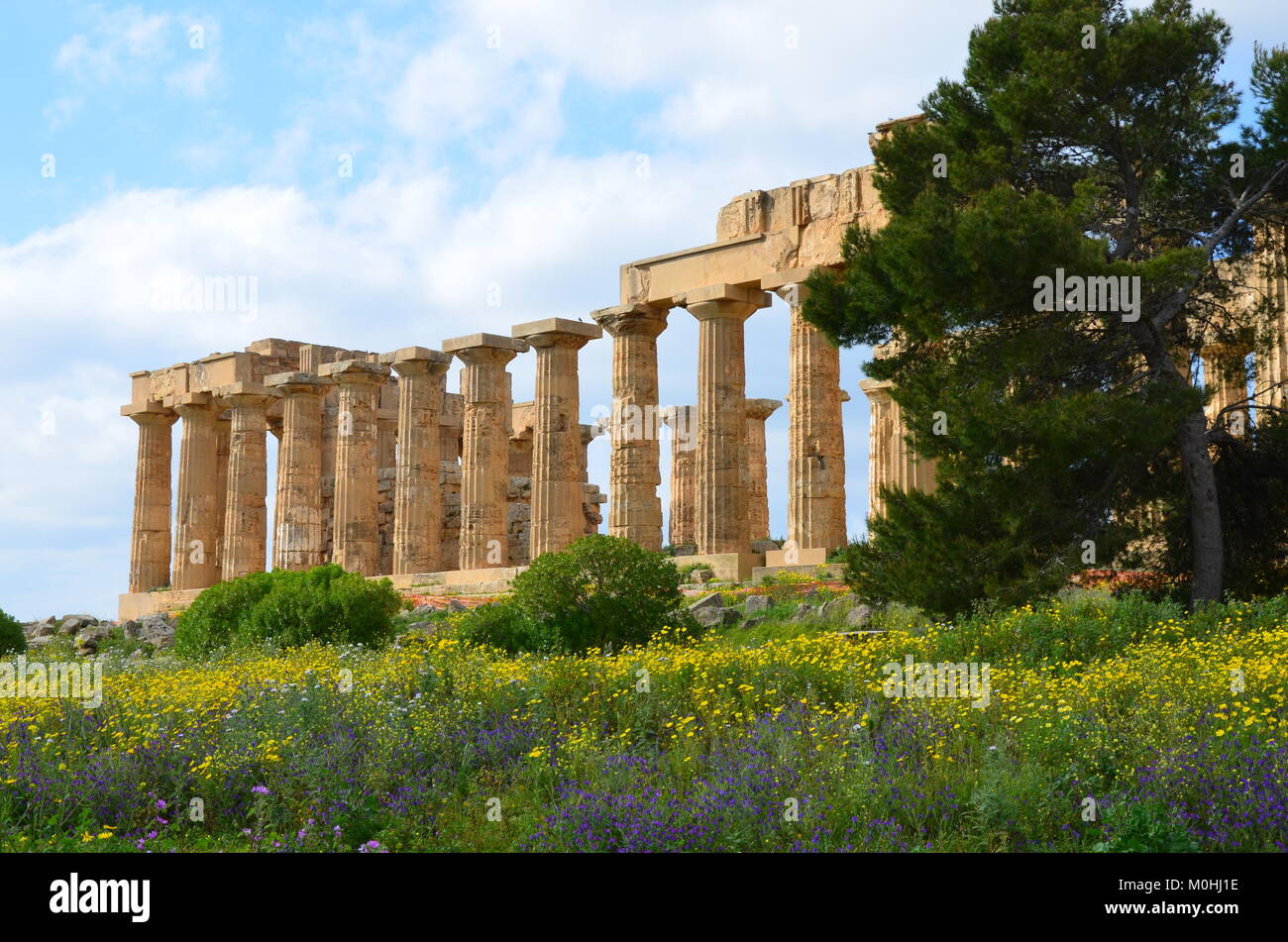 Archaeological area of Selinunte in Sicily Stock Photo - Alamy