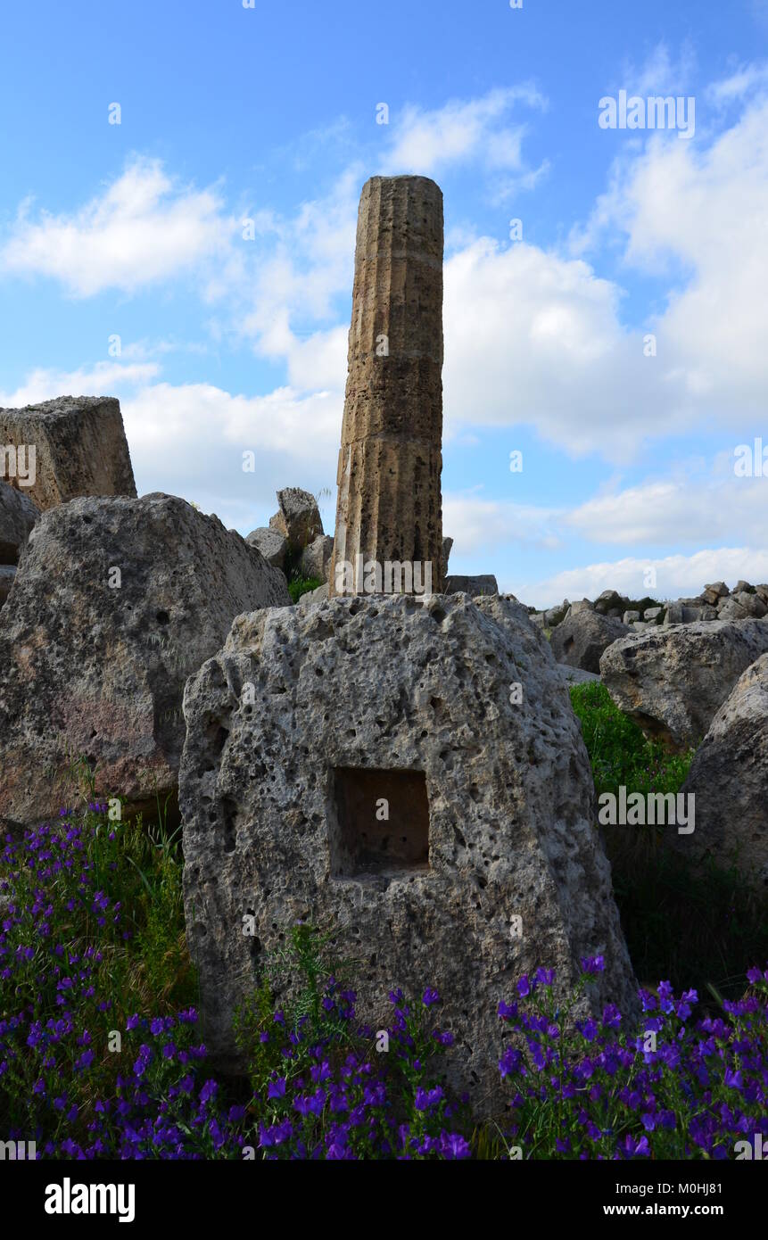 Archaeological area of Selinunte in Sicily Stock Photo - Alamy