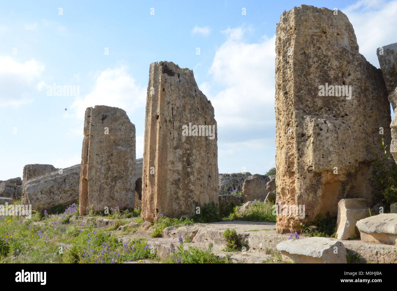 Archaeological area of Selinunte in Sicily Stock Photo - Alamy