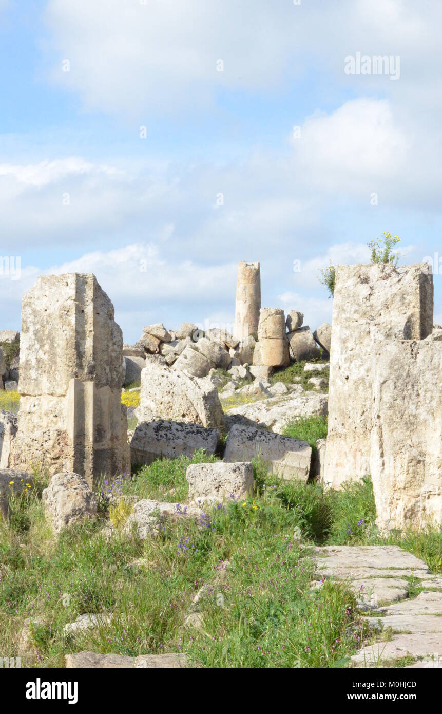 Archaeological area of Selinunte in Sicily Stock Photo - Alamy