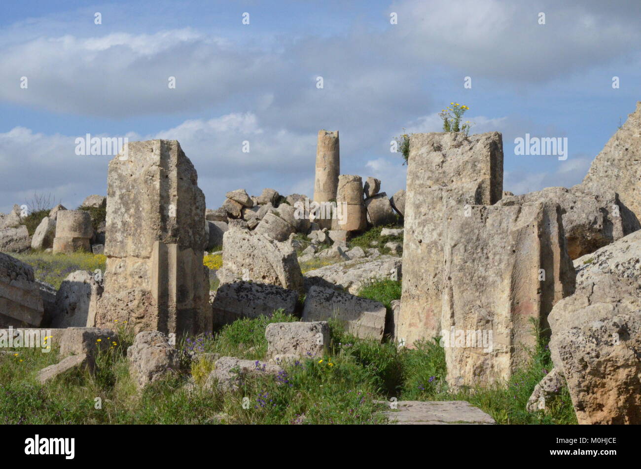 Archaeological area of Selinunte in Sicily Stock Photo - Alamy