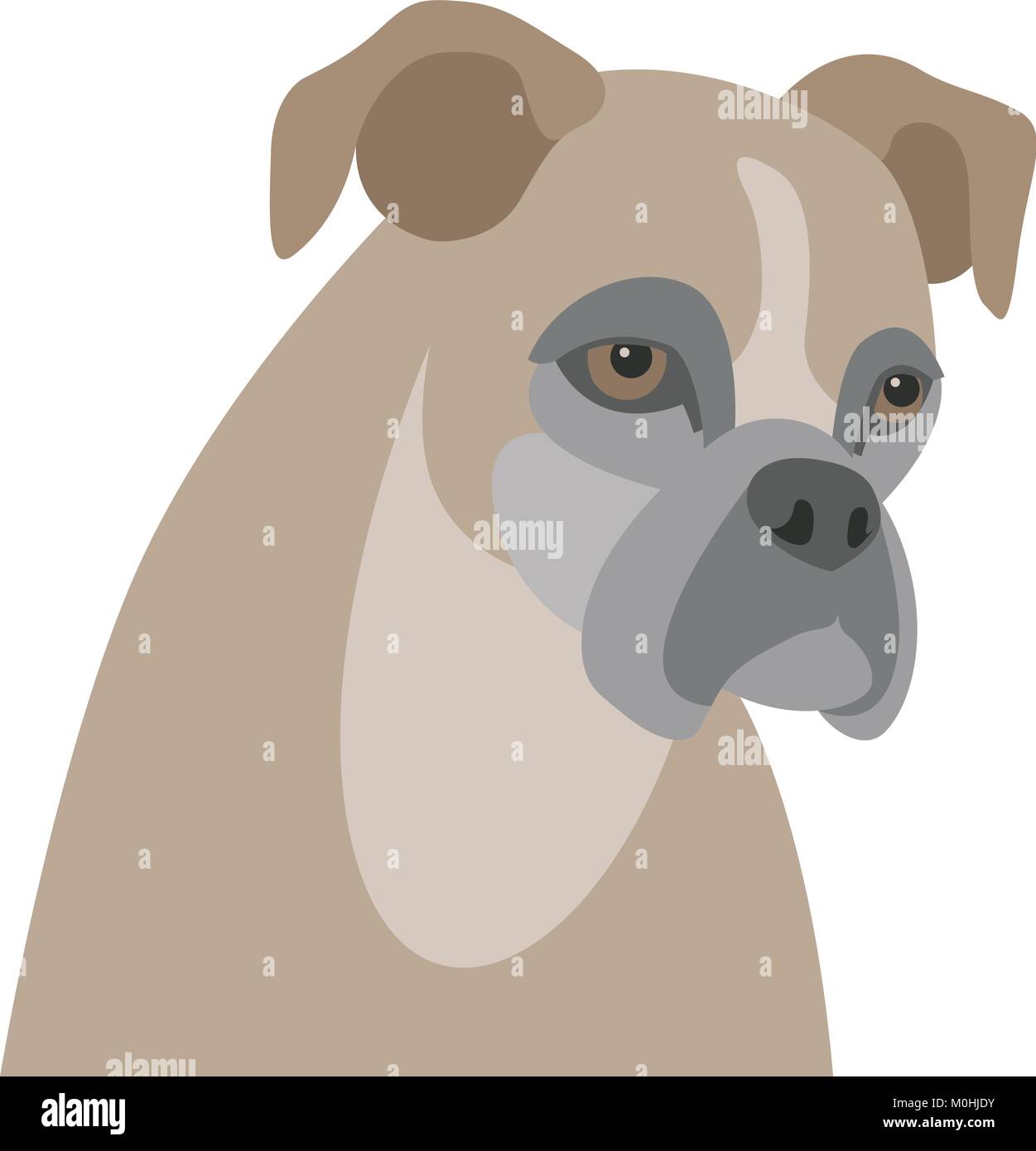 dog boxer head flat style vector illustration front side Stock Vector ...