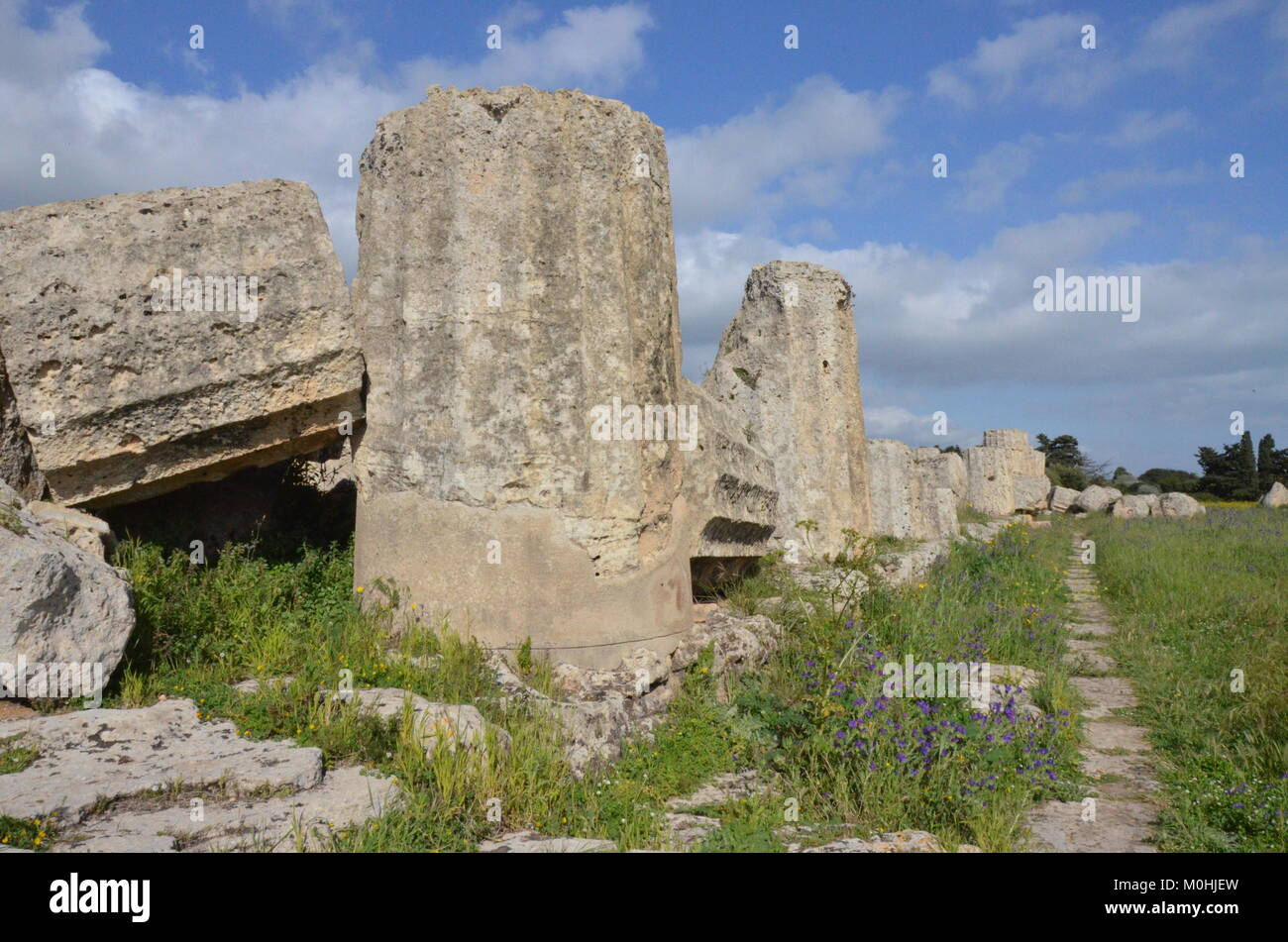 Archaeological area of Selinunte in Sicily Stock Photo - Alamy