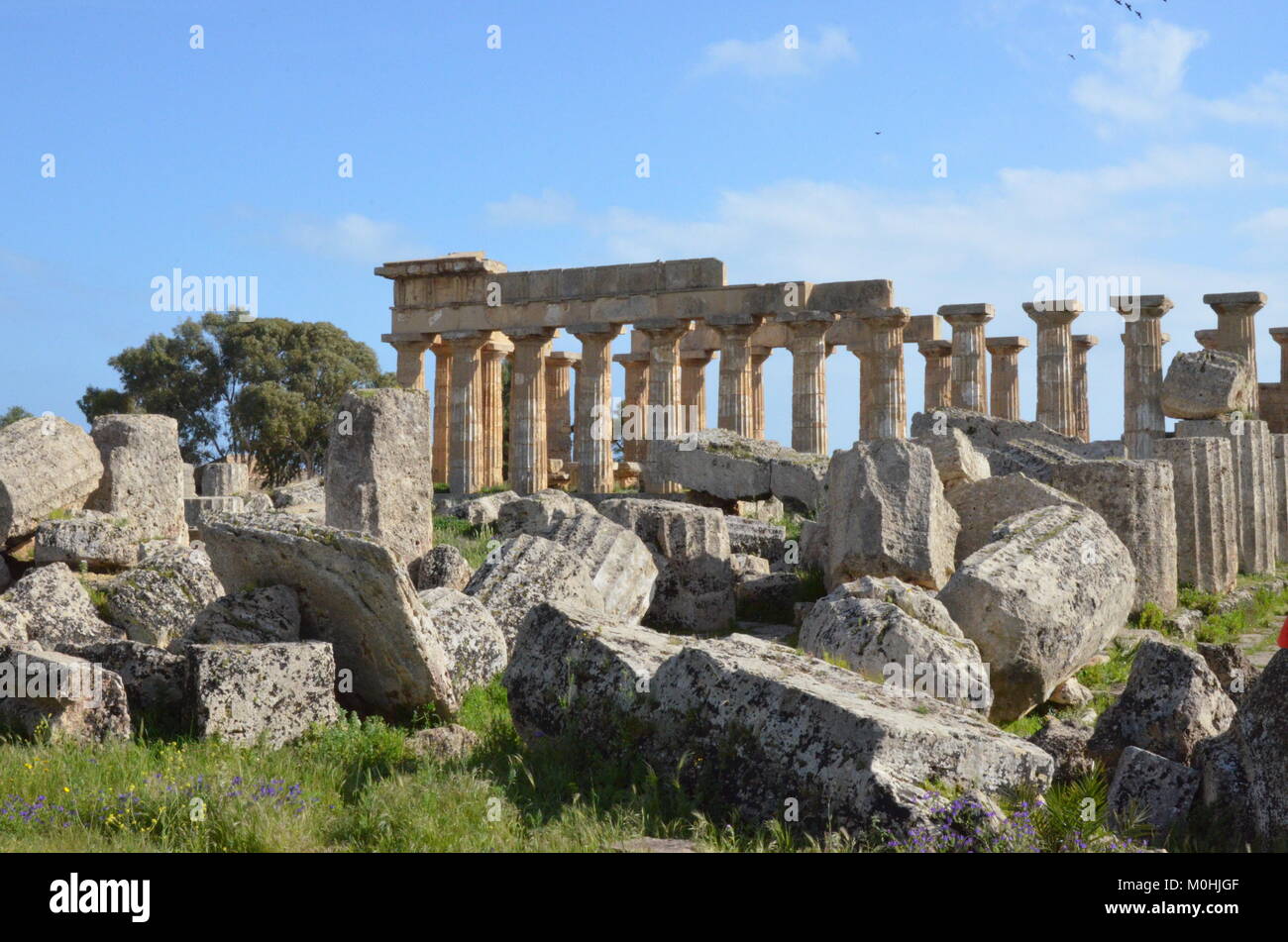 Archaeological area of Selinunte in Sicily Stock Photo - Alamy