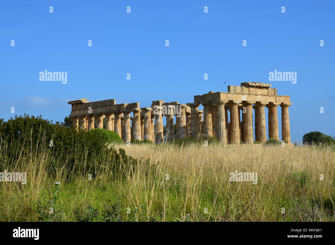 Archaeological area of Selinunte in Sicily Stock Photo - Alamy