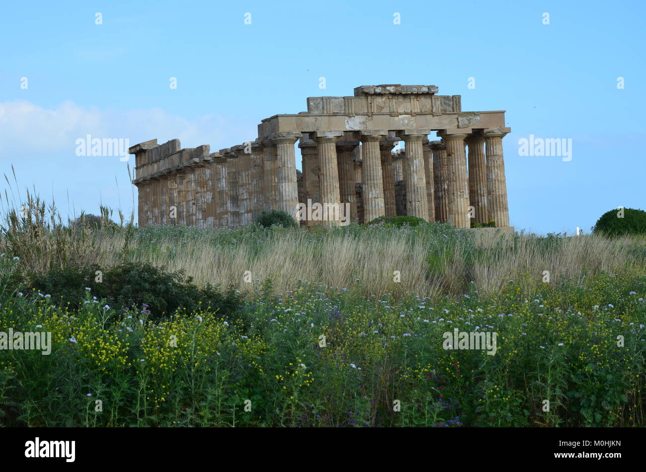 Archaeological area of Selinunte in Sicily Stock Photo - Alamy
