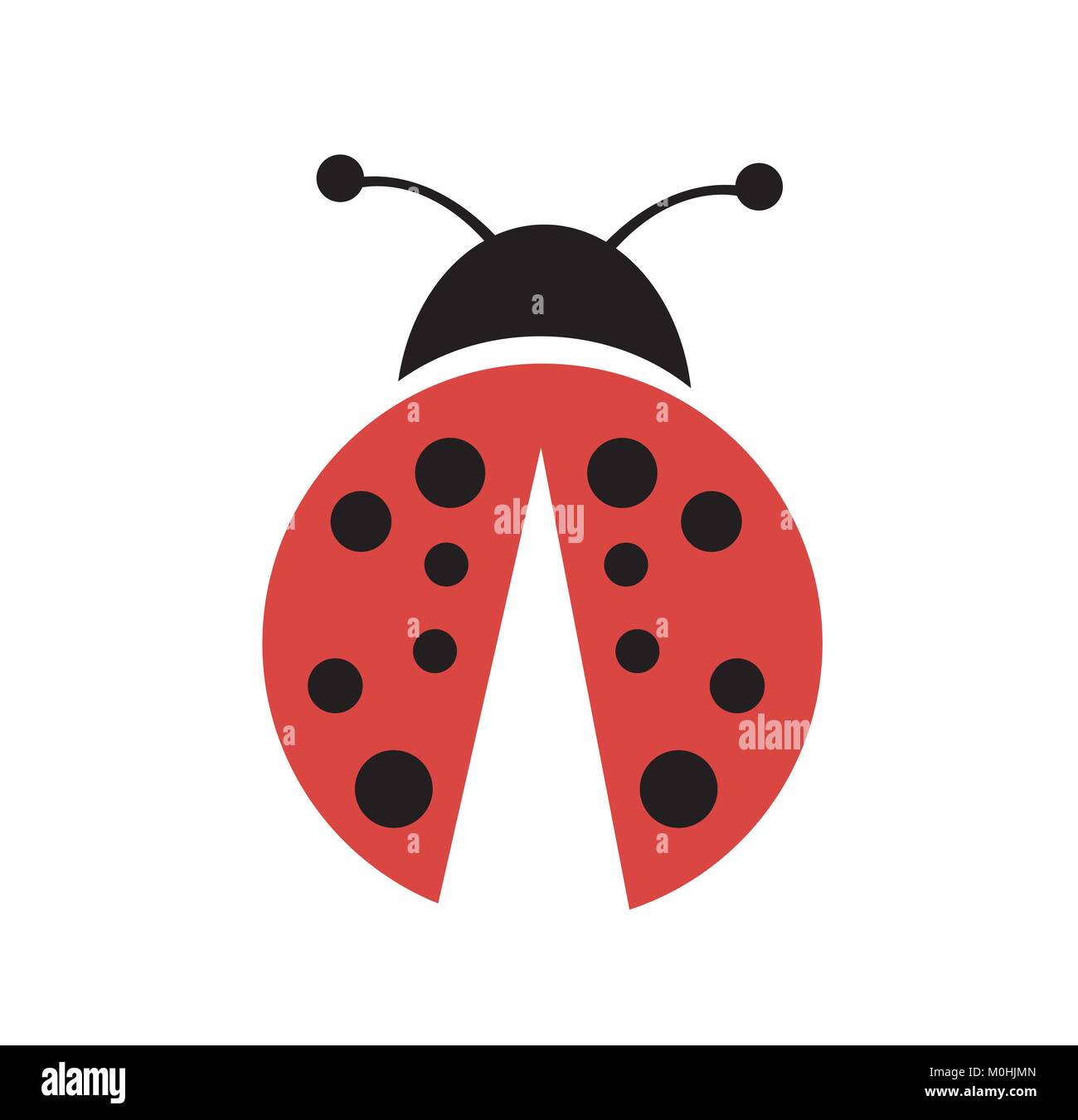 Ladybug vector illustration Stock Vector Image & Art - Alamy