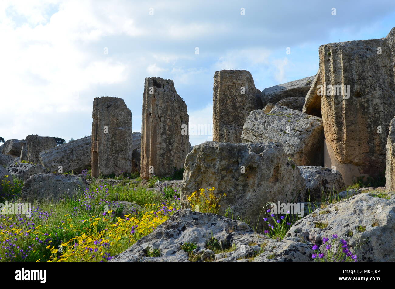 Archaeological area of Selinunte in Sicily Stock Photo - Alamy