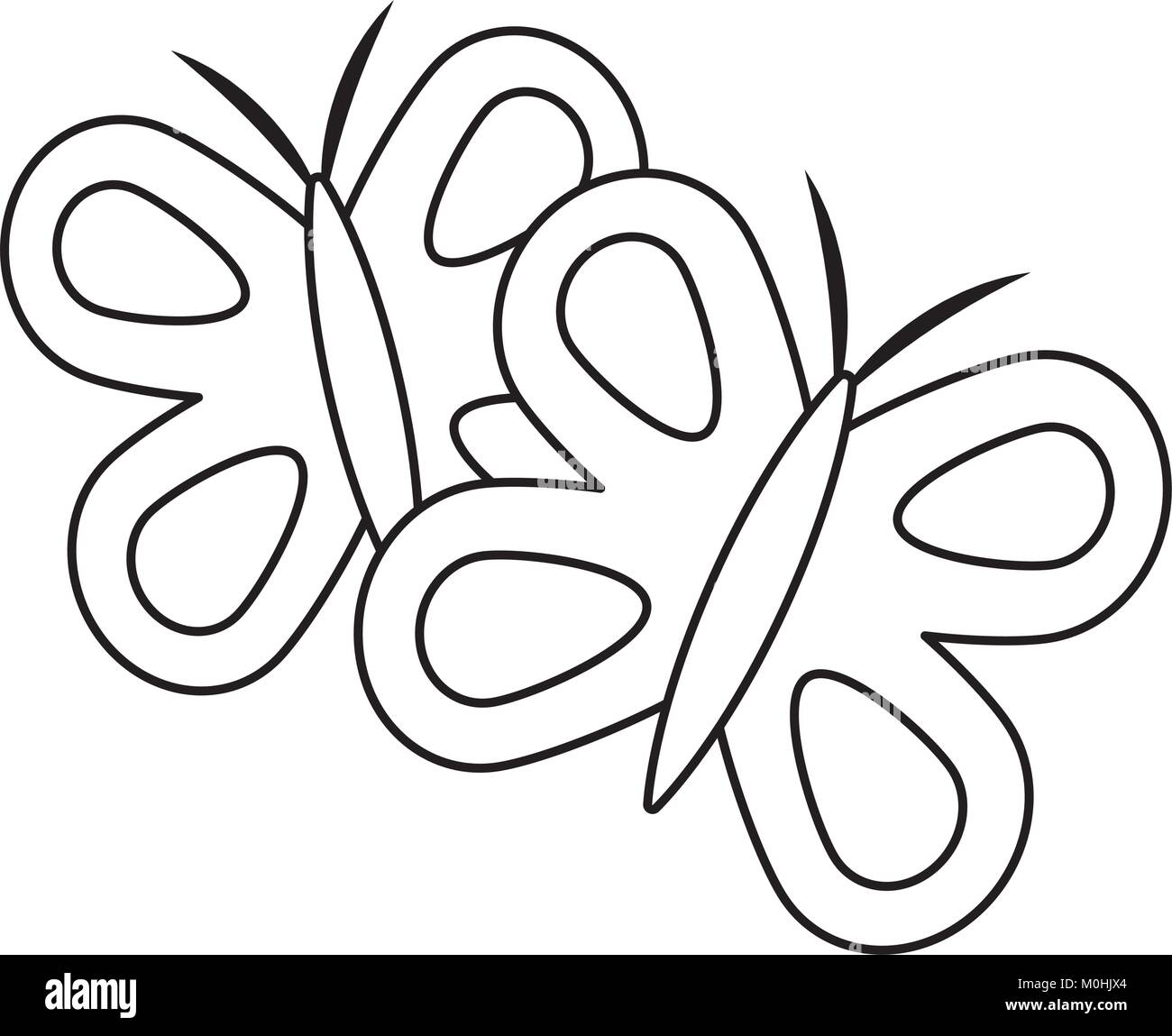 cute butterflies spring animal outline Stock Vector Image & Art - Alamy