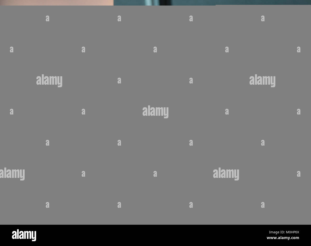 Holocaust survivor Manfred Goldberg (left) and Kemal Pervanic, a ...