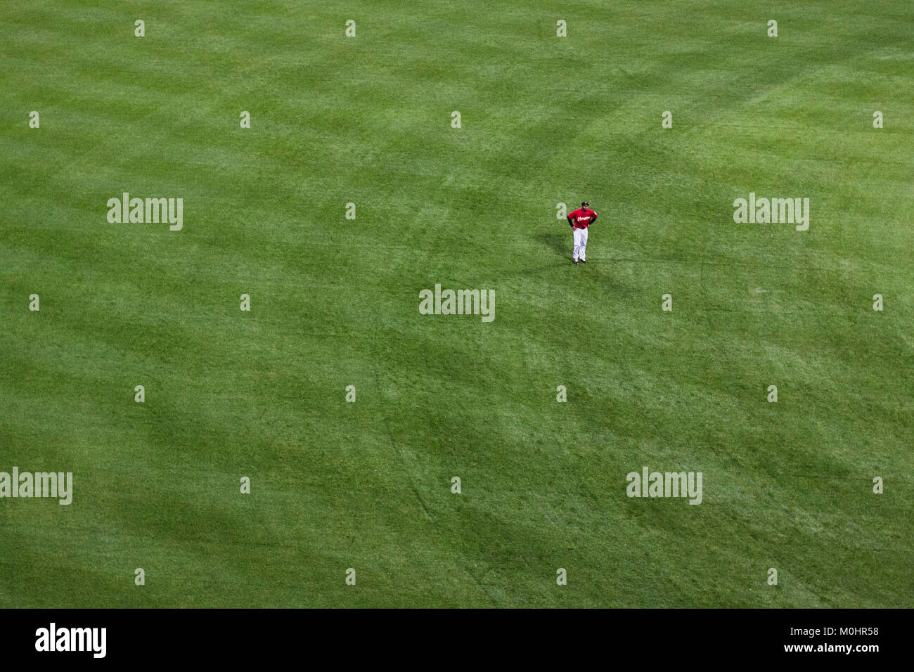 A lonely baseball player is pictured alone on the baseball pits in New ...