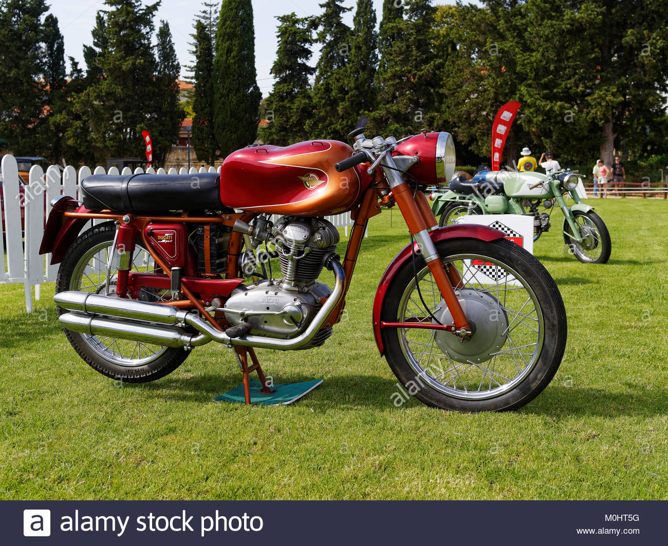 175 Cc High Resolution Stock Photography and Images - Alamy