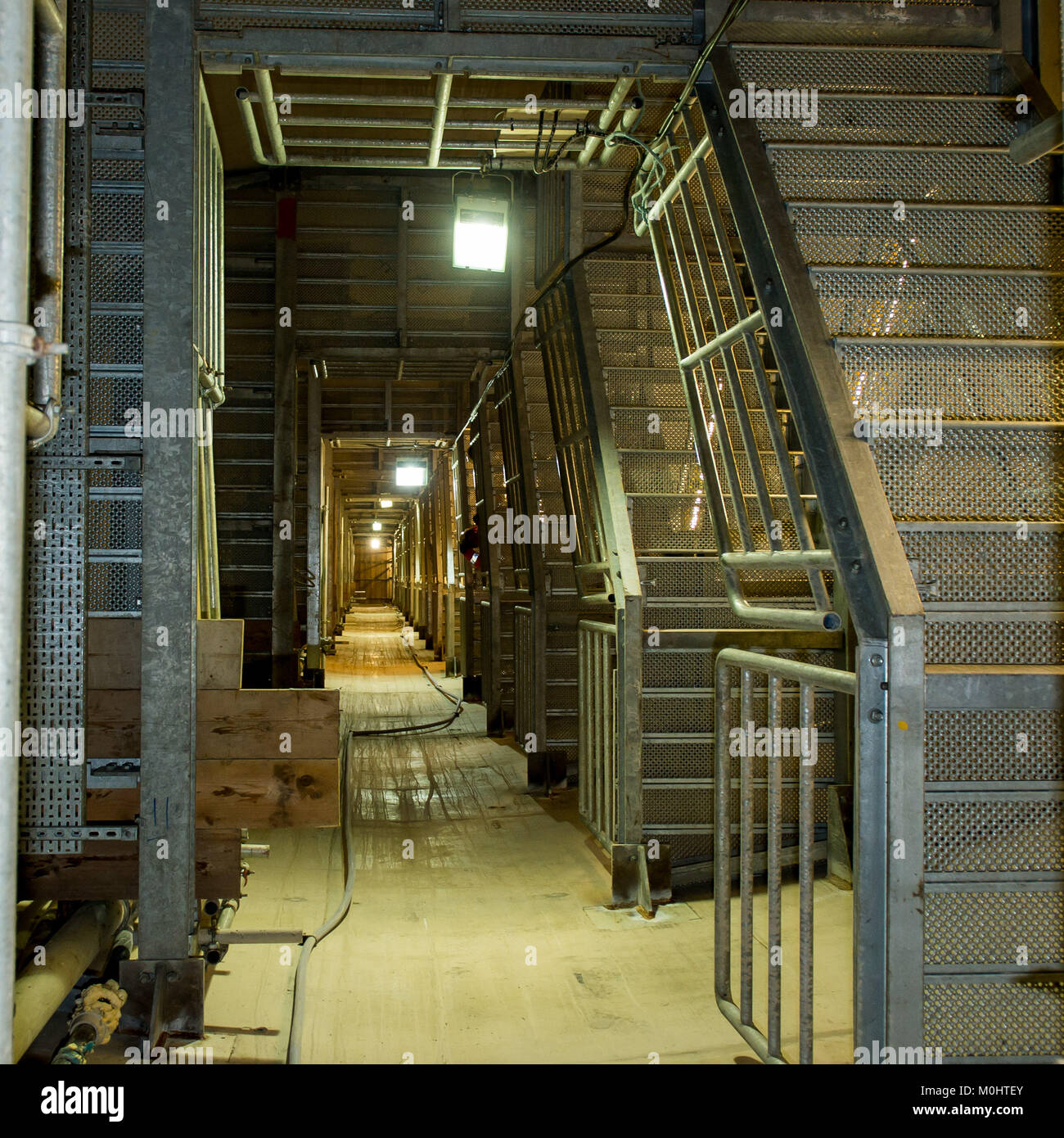 Forth Replacement Crossing - Queensferry Crossing (formerly the Forth ...
