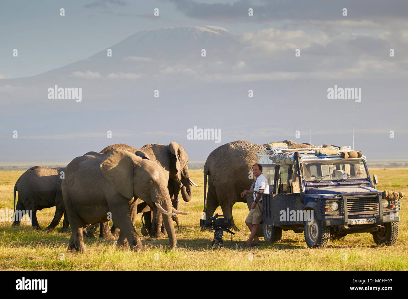Martyn colbeck elephant hi-res stock photography and images - Alamy