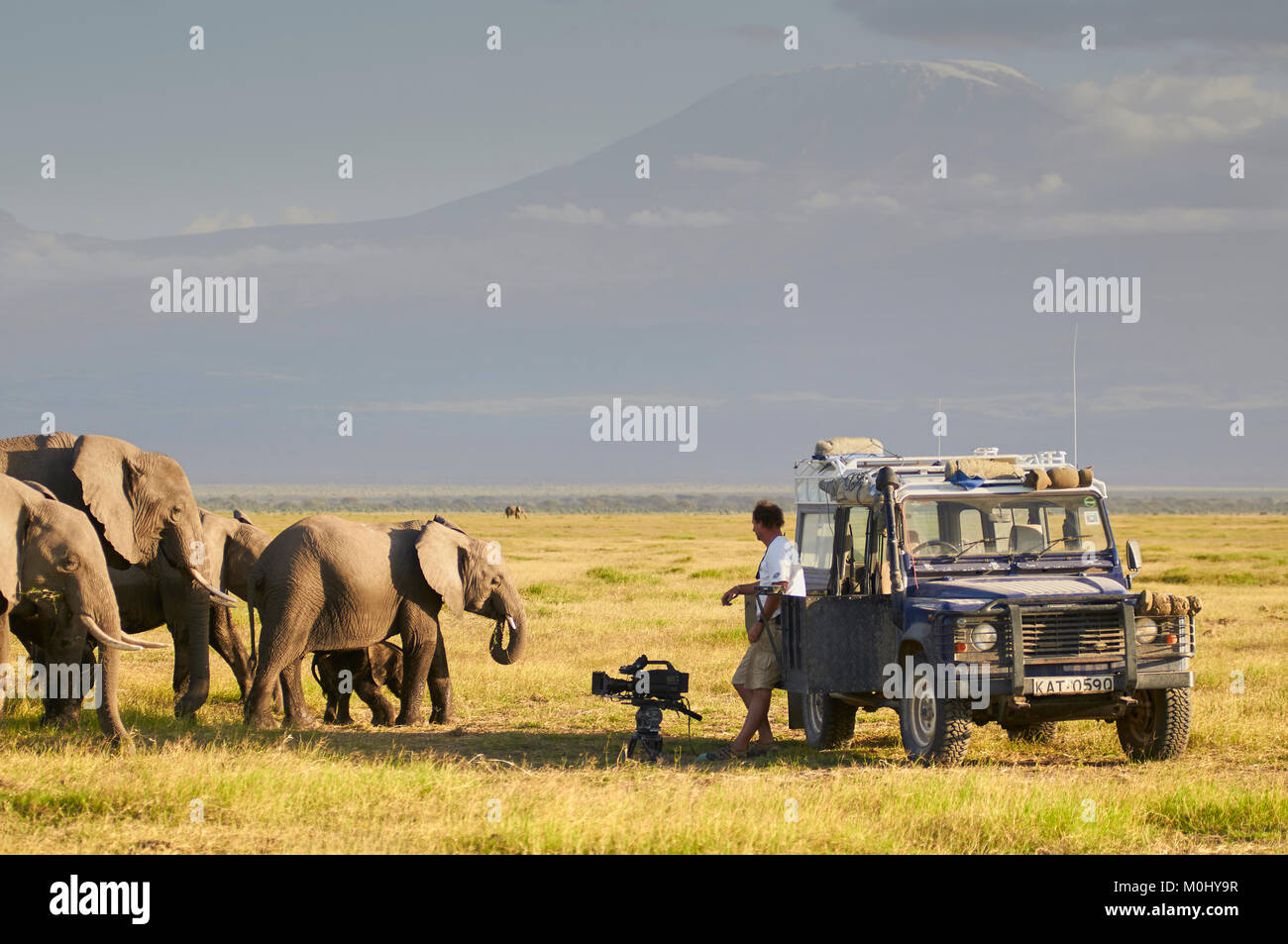Martyn colbeck elephant hi-res stock photography and images - Alamy