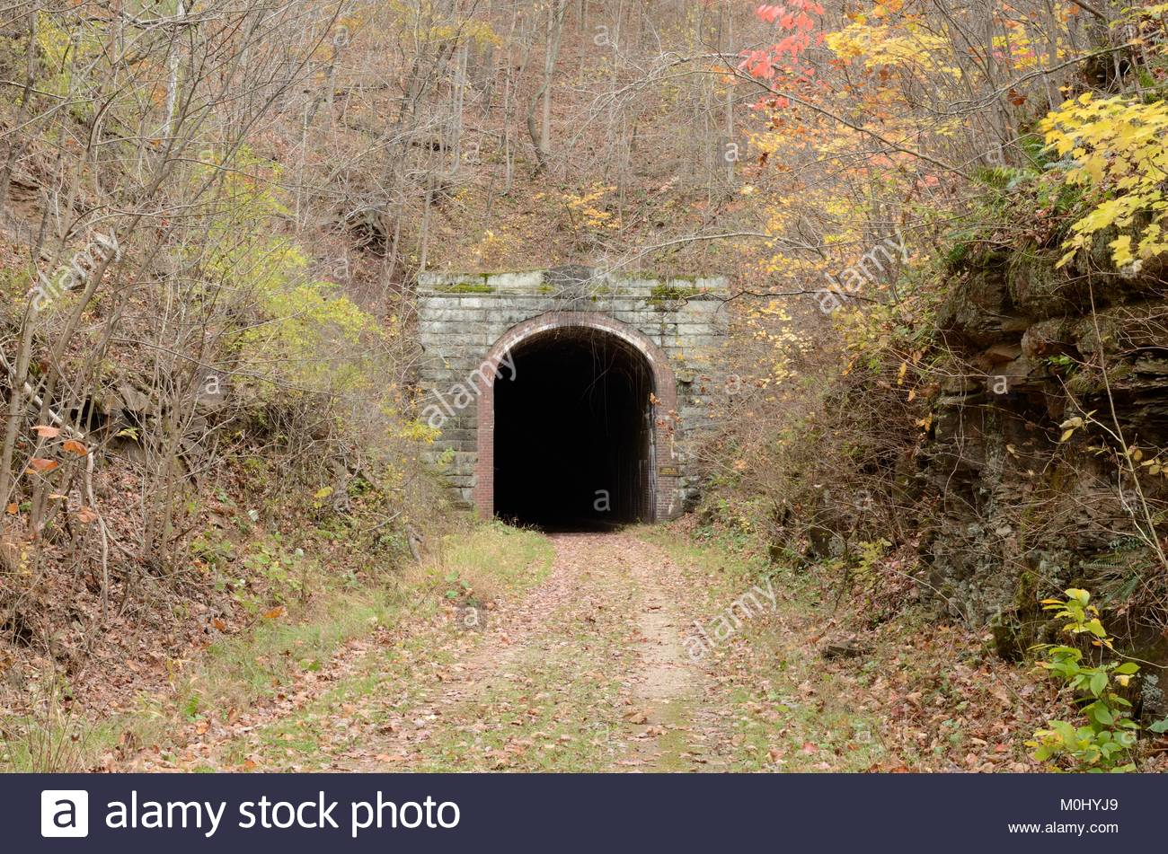 Land Rail High Resolution Stock Photography and Images - Alamy