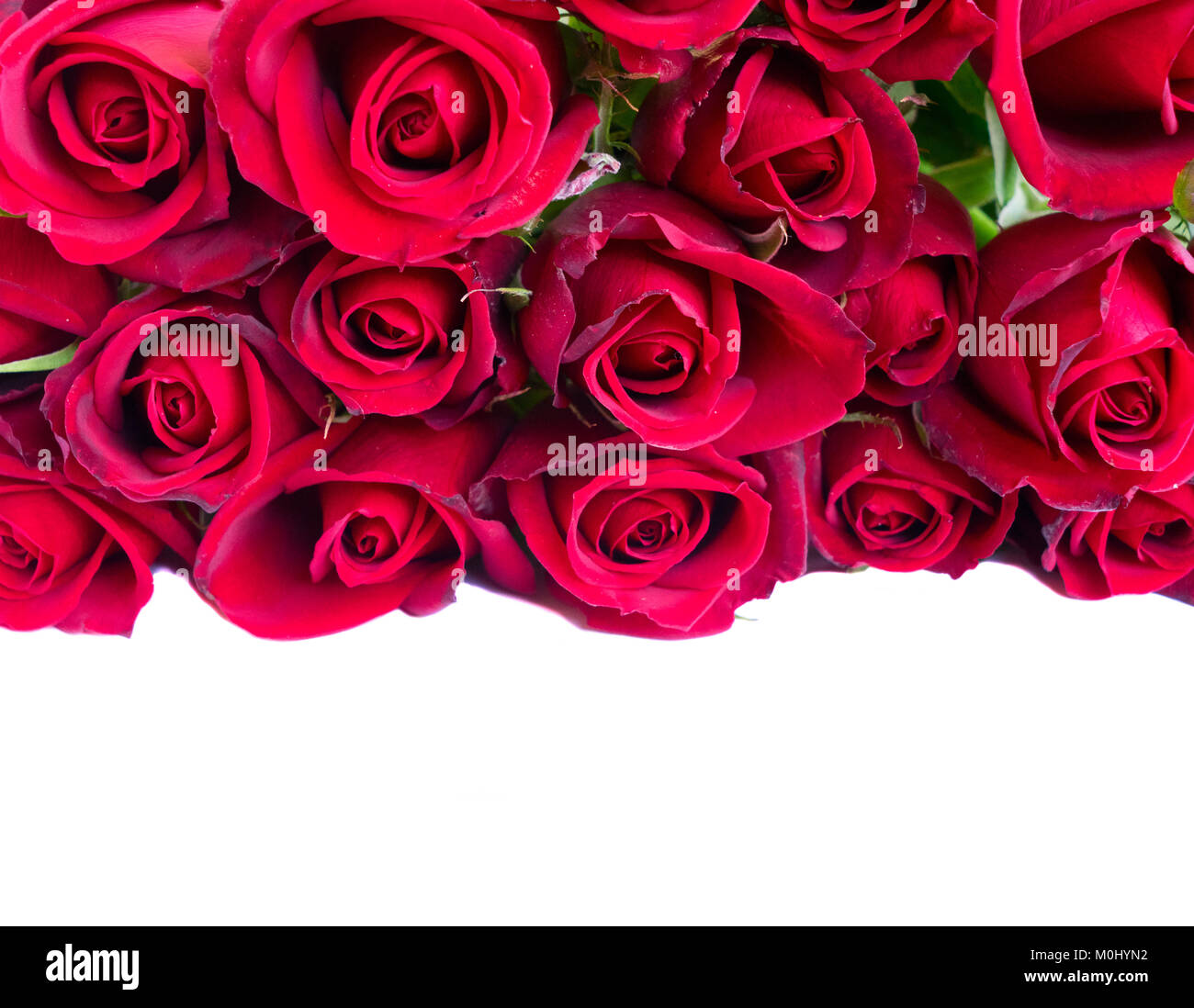 bouquet of dark red roses Stock Photo - Alamy