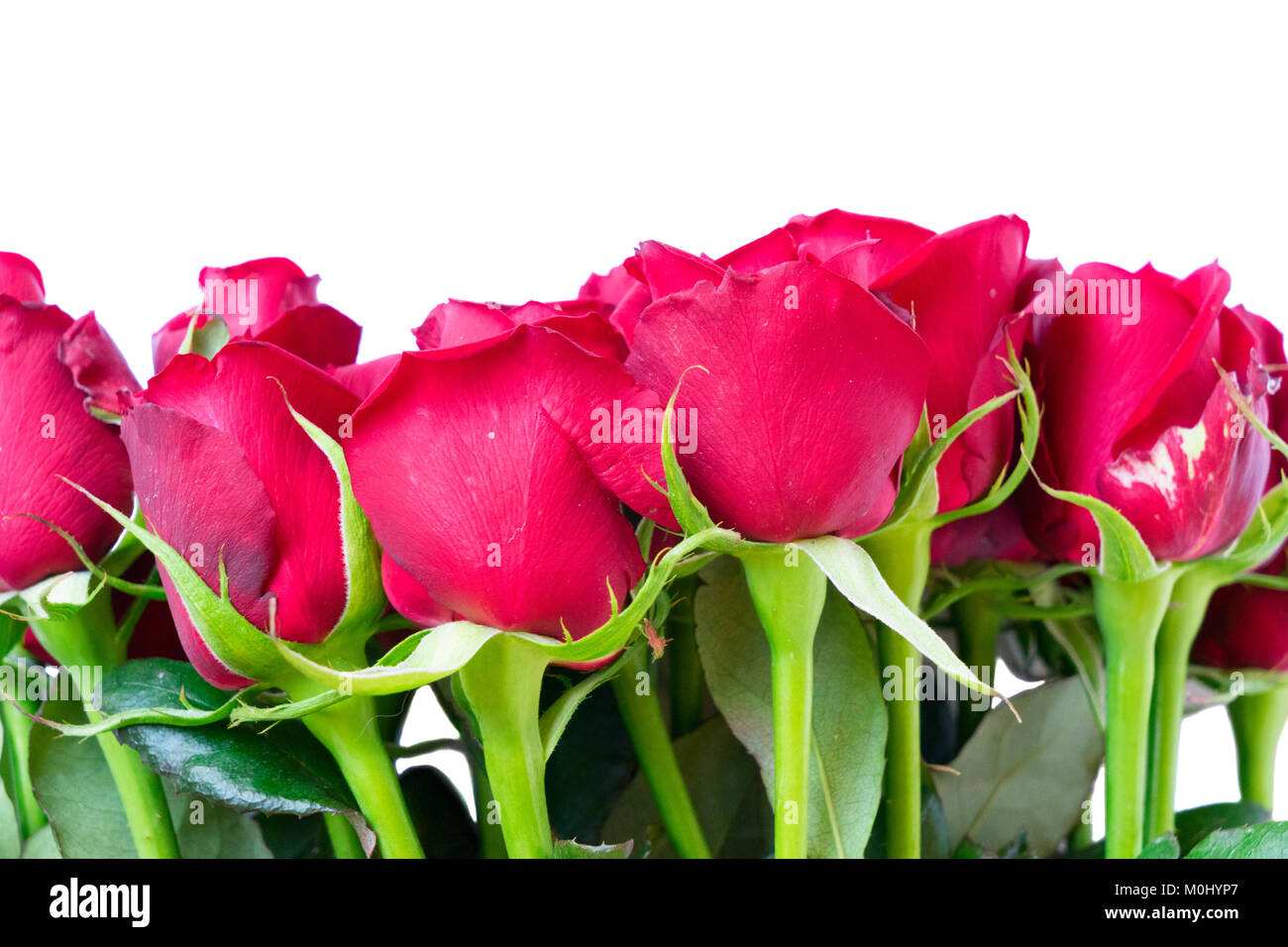 bouquet of dark red roses Stock Photo - Alamy