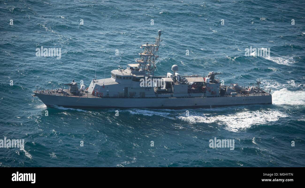 The U.S. Navy Cyclone-class coastal patrol ship USS Squall steams ...