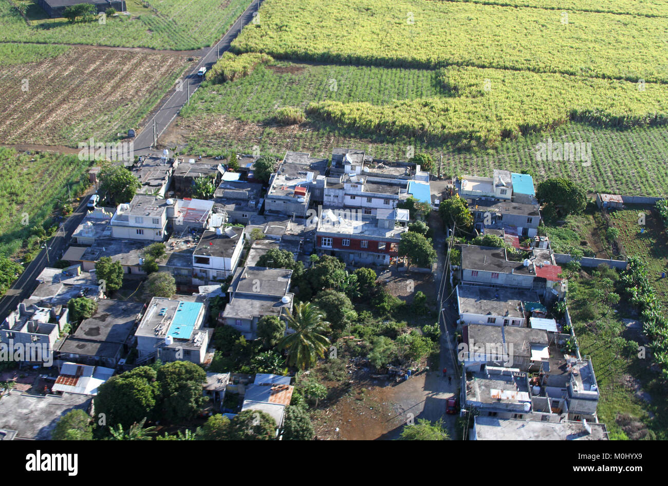 Aerial view of block of rural houses surrounded by agricultural fields ...