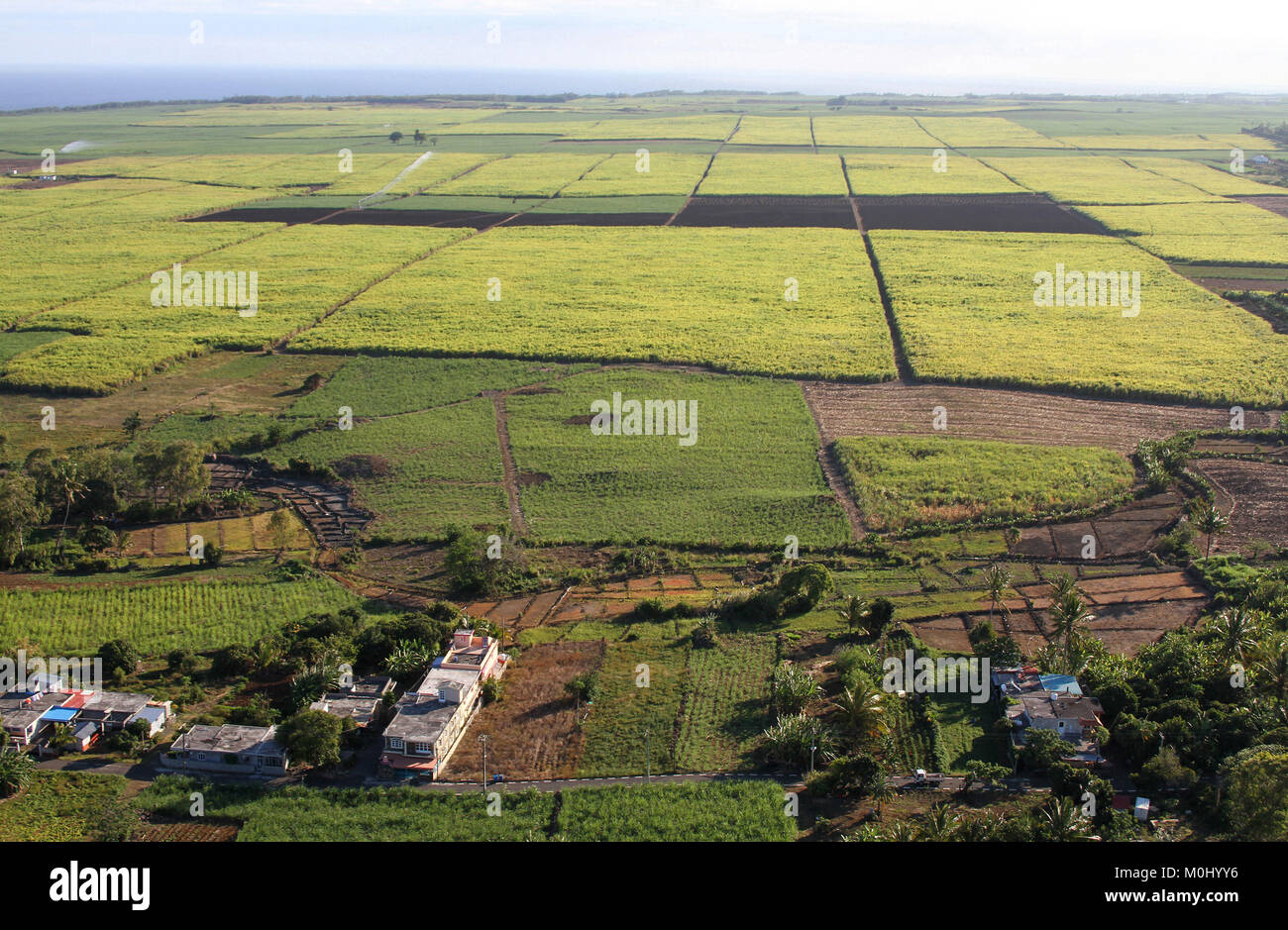 Aerial view of agricultural fields and houses near the coast from a ...
