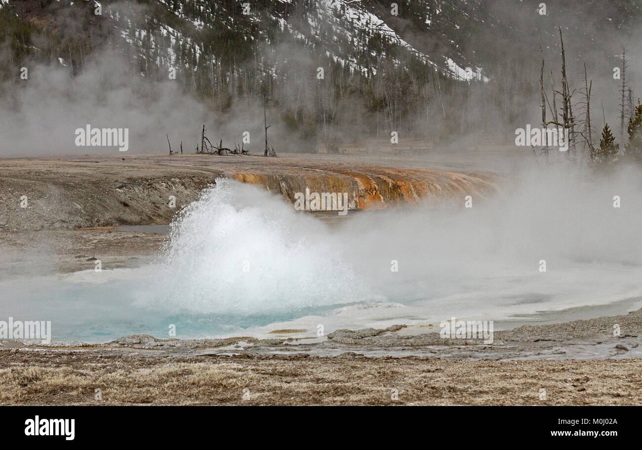 The Spouter Geyser erupts in the Black Sand Geyser Basin at the ...