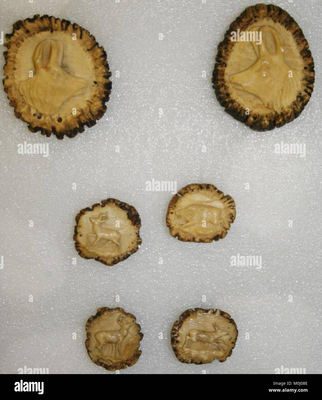 Button designs hi-res stock photography and images - Alamy