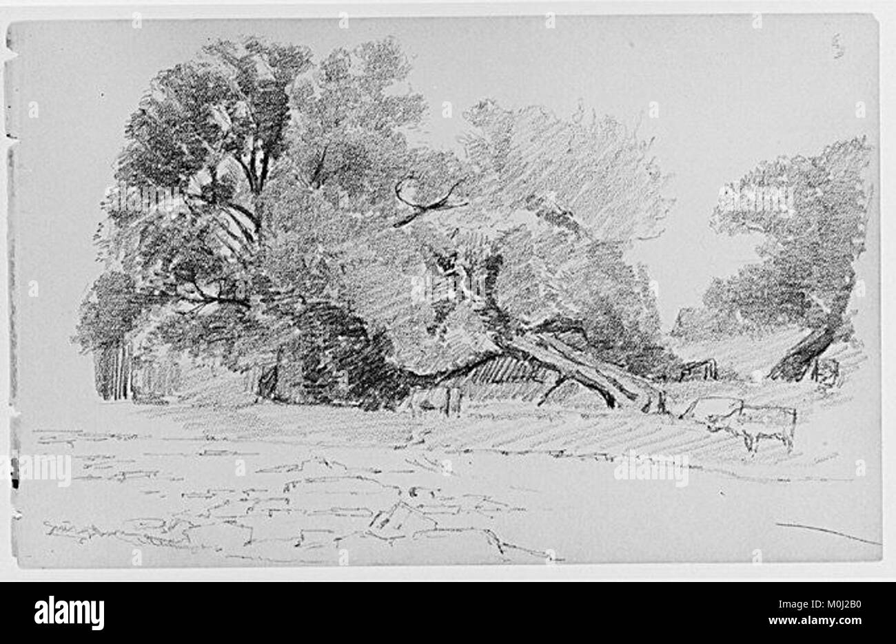 The sketch *Landscape With Cows* depicts a rural scene with grazing ...