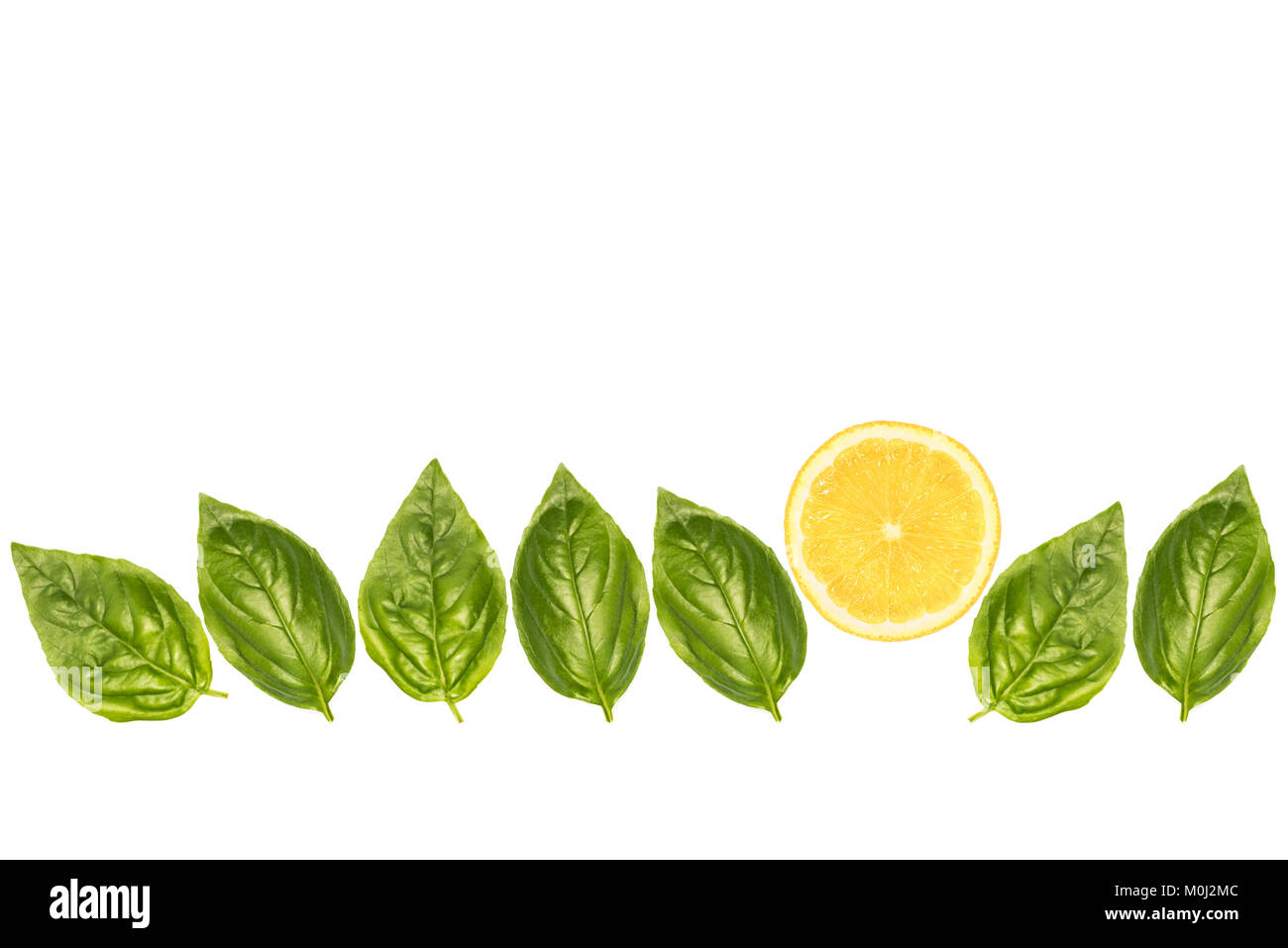 basil leaves and lemon slice Stock Photo - Alamy