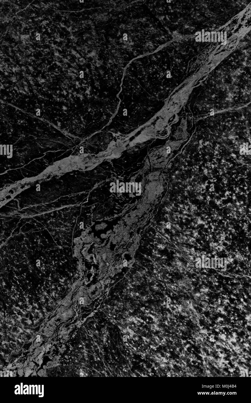 Forest floor background Black and White Stock Photos & Images - Alamy