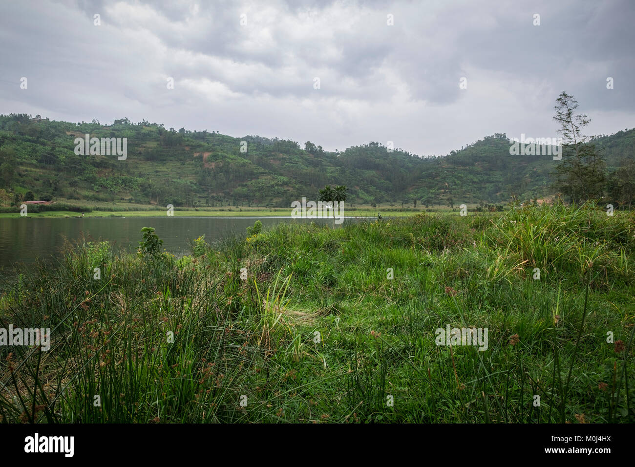 Rwanda, surrounding of Ruhengeri (Musanza), landscape Stock Photo - Alamy