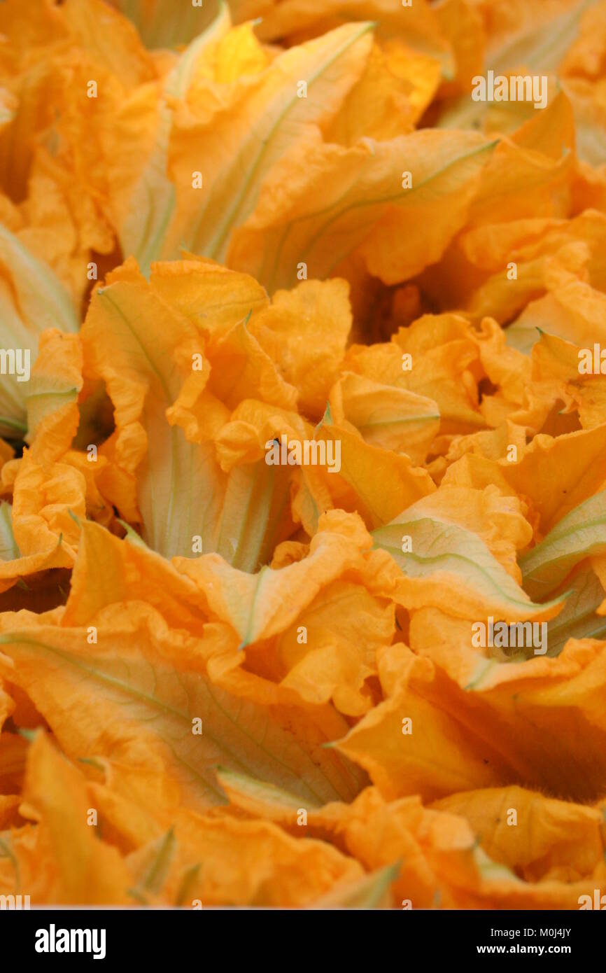 Squash blossom hi-res stock photography and images - Alamy