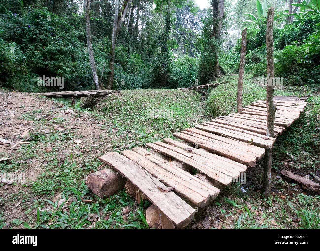 Wooden bridges over a small stream in Kakamega forest, Kenya Stock ...