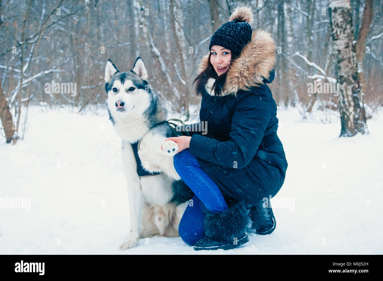 Dog gives a paw his master Stock Photo - Alamy