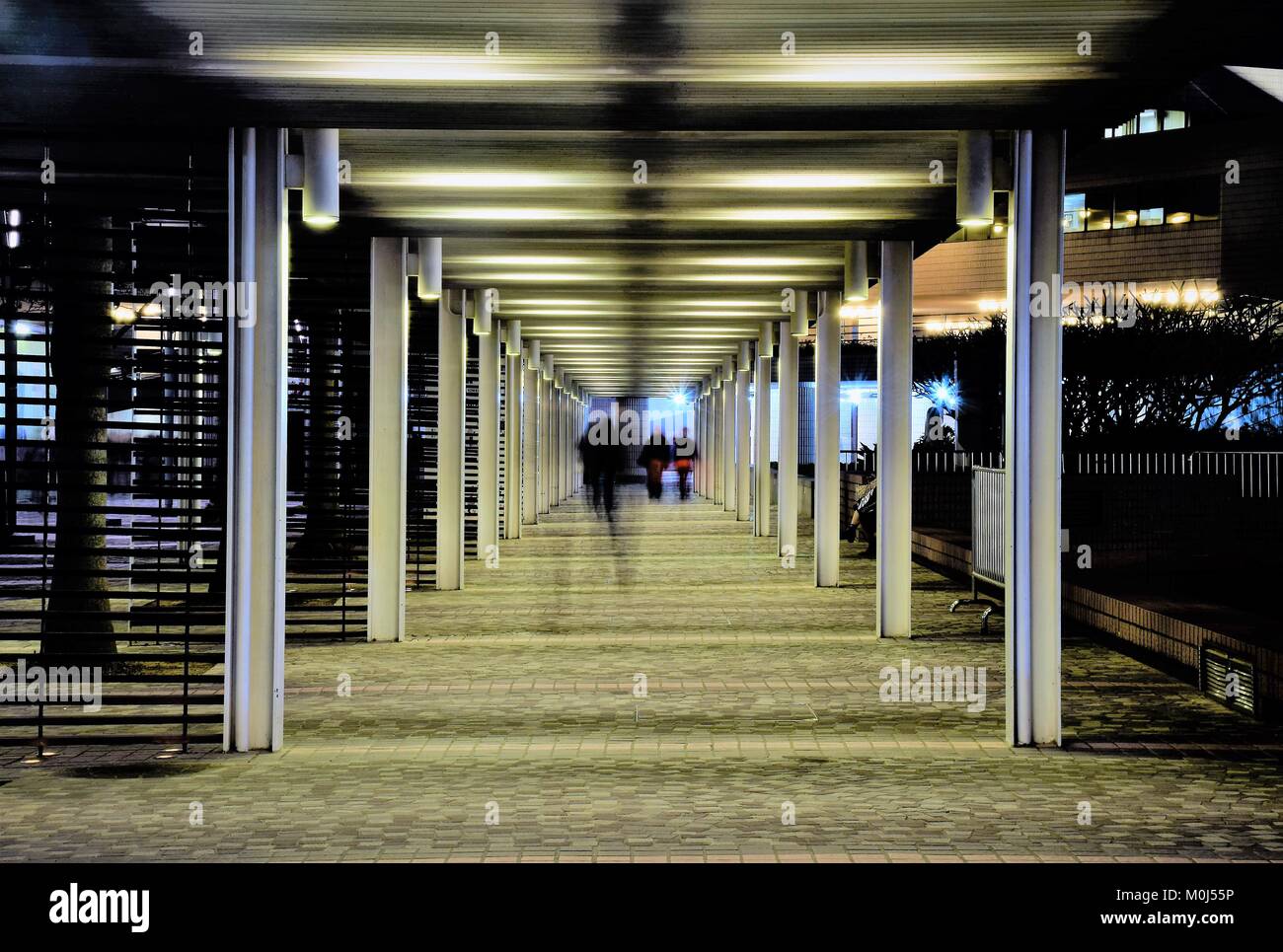 Covered pathway hi-res stock photography and images - Alamy