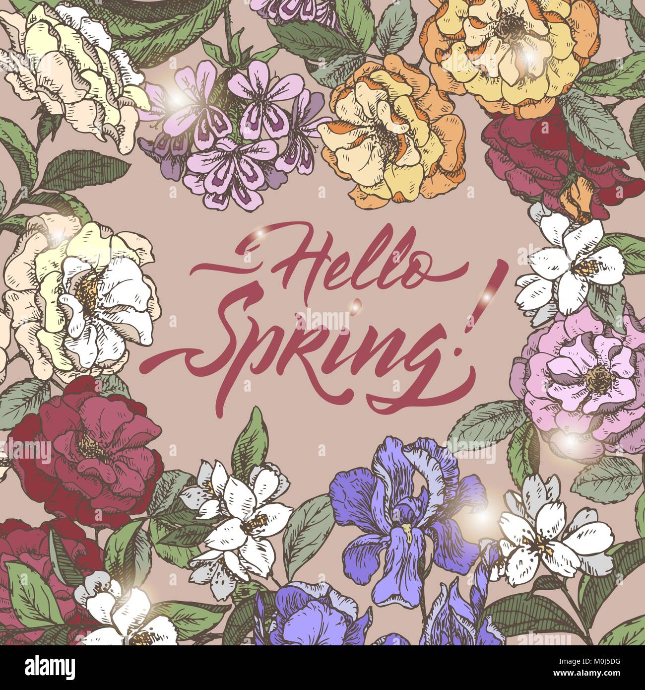 Geranium joy Stock Vector Images - Alamy