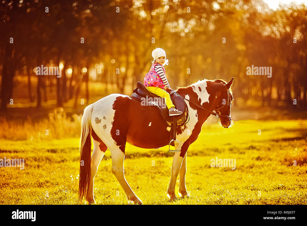 Pretty girl horse riding hi-res stock photography and images - Alamy