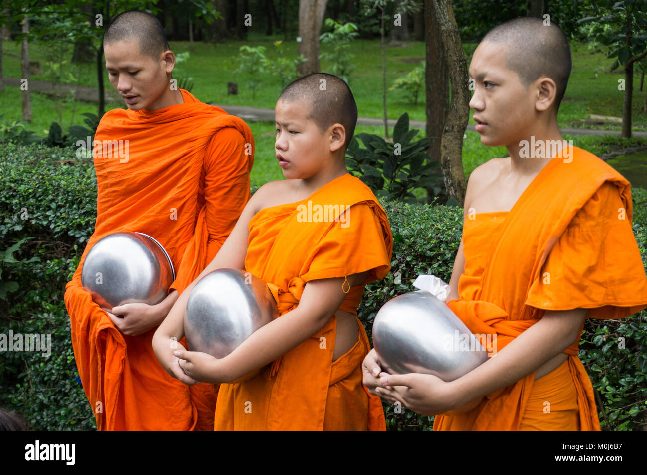 Asia,Thailand,Chiang Mai,buddhist monks Stock Photo - Alamy