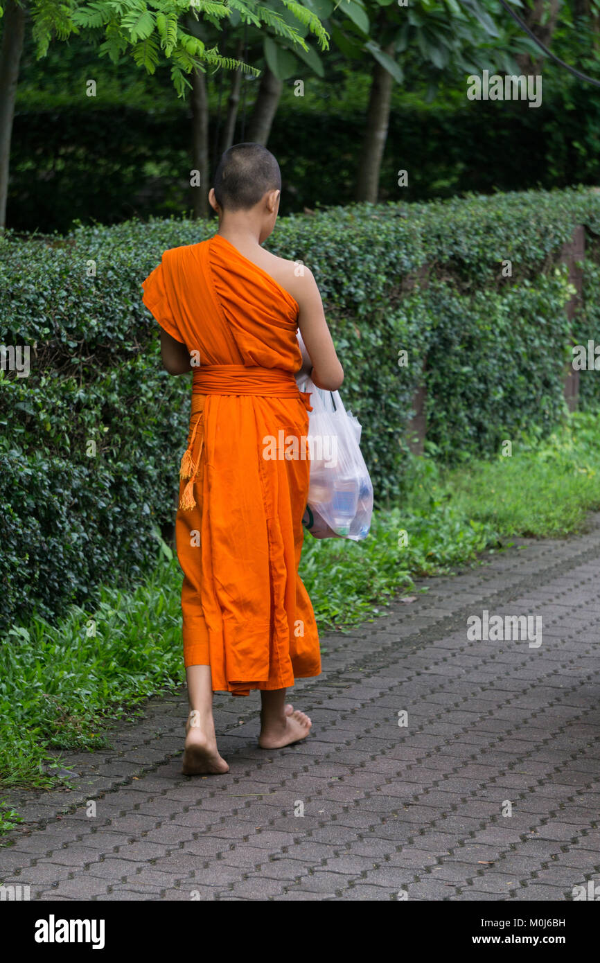 Asia,Thailand,Chiang Mai,buddhist monks Stock Photo - Alamy
