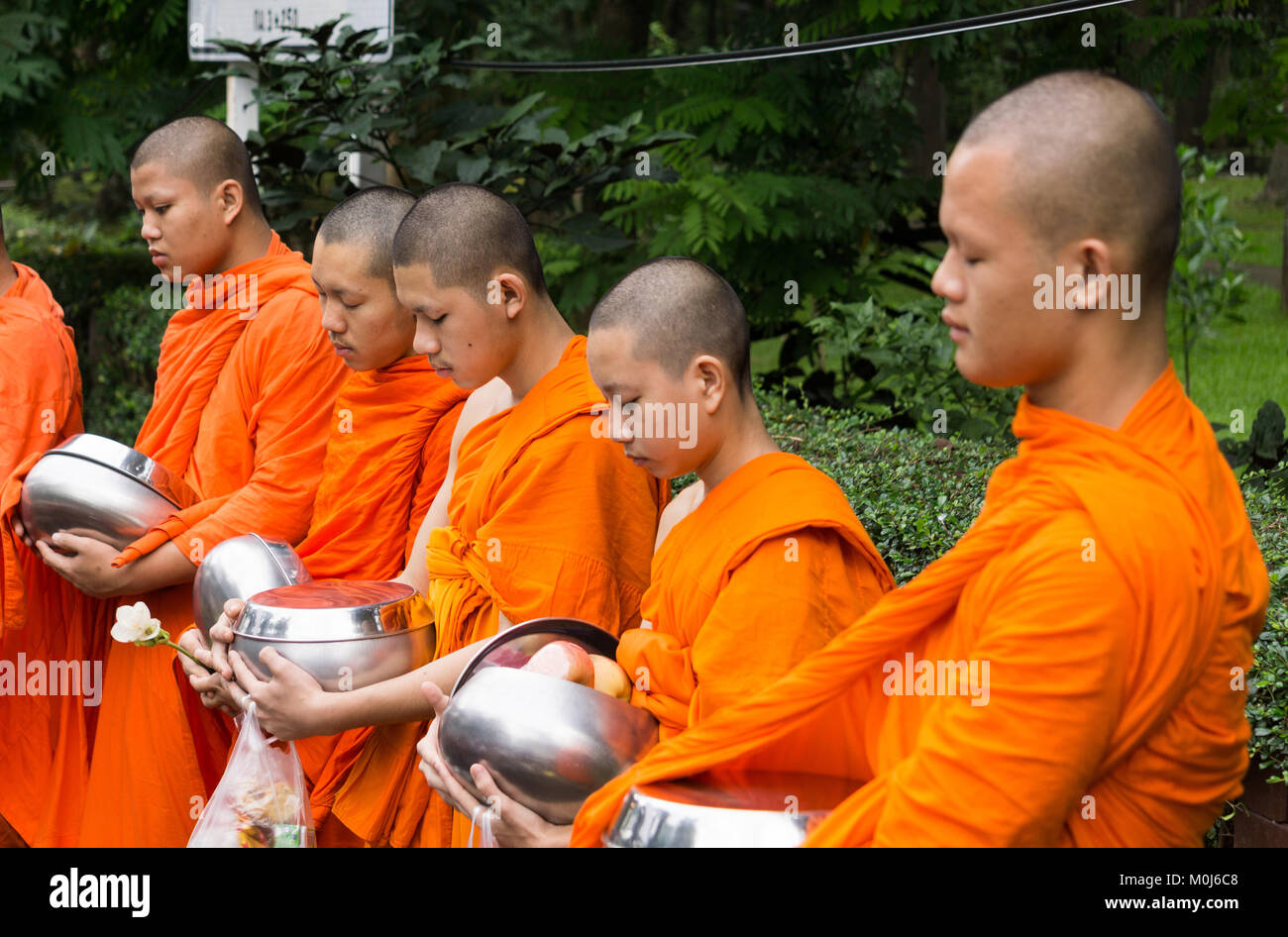 Asia,Thailand,Chiang Mai,buddhist monks Stock Photo - Alamy