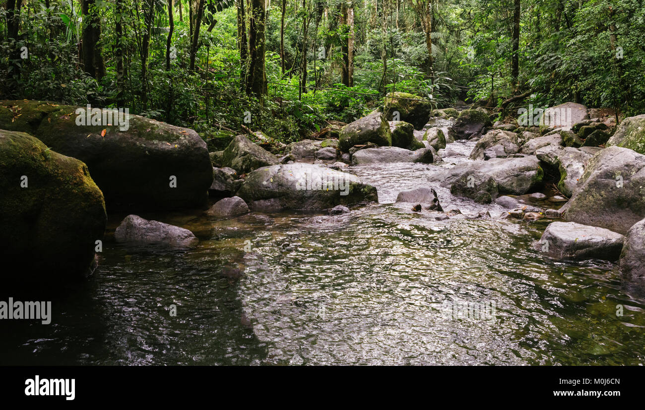 Tropical stream in Rio de Janeiro, Brazil Stock Photo - Alamy