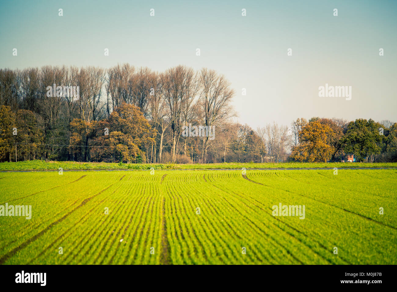 Farm Landscape. green field. Farmland fields Stock Photo - Alamy