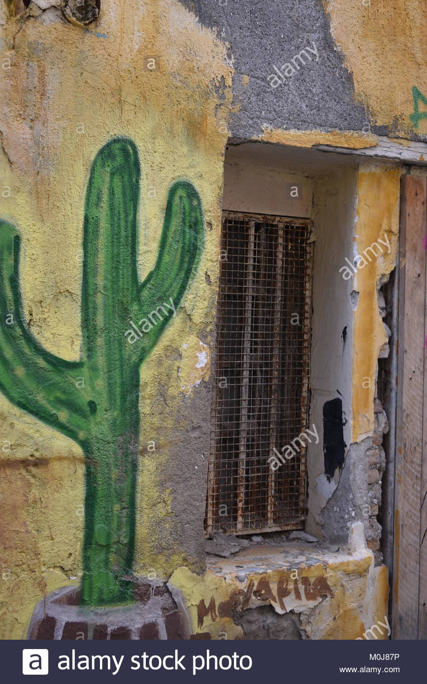 Cactus With Graffiti High Resolution Stock Photography and Images - Alamy