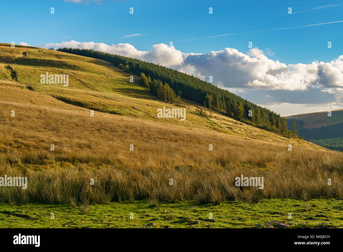 Landscape in the Brecon Beacons National Park between Torpantau and ...